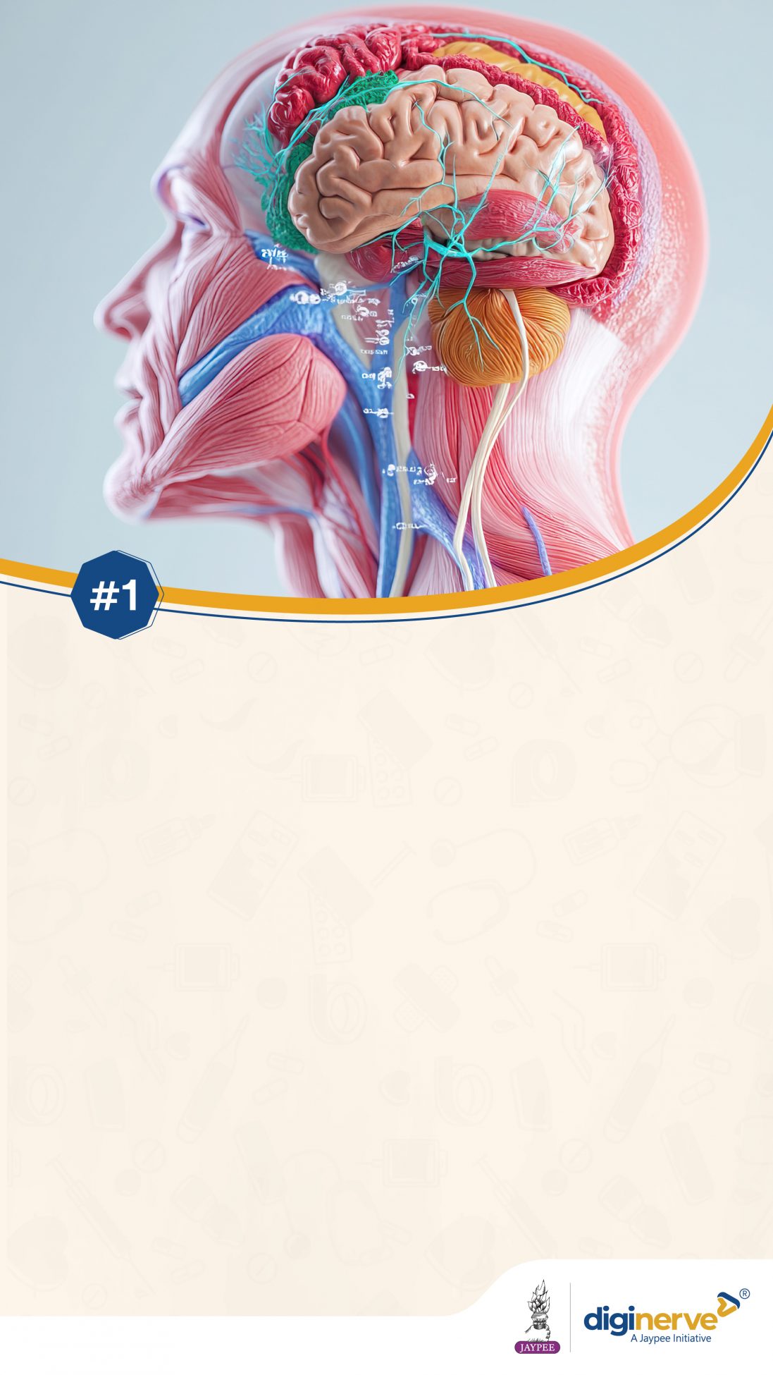 Mnemonics For Anatomy Correct Nasogastric Tube Placement | Image